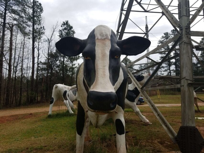 Conyers Cow Tower - Y'All Went Where?