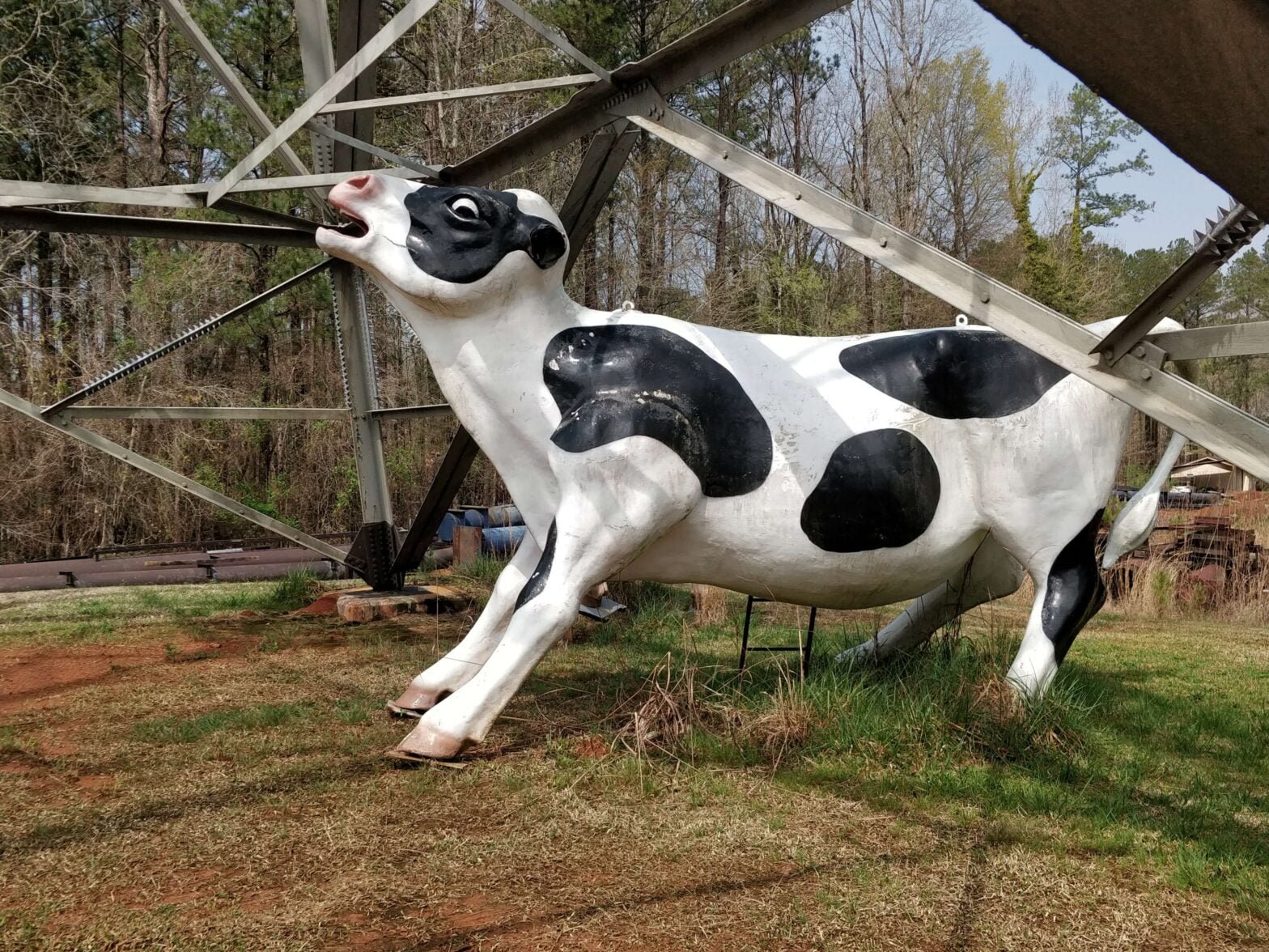Conyers Cow Tower - Y'All Went Where?