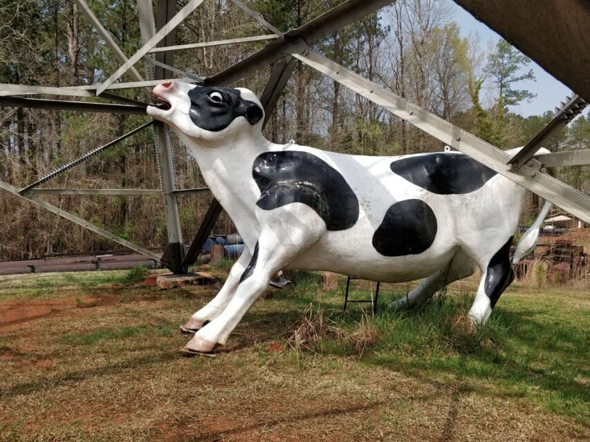 Conyers Cow Tower - Y'All Went Where?